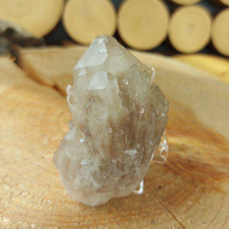 Citrin Cluster Heilstein
